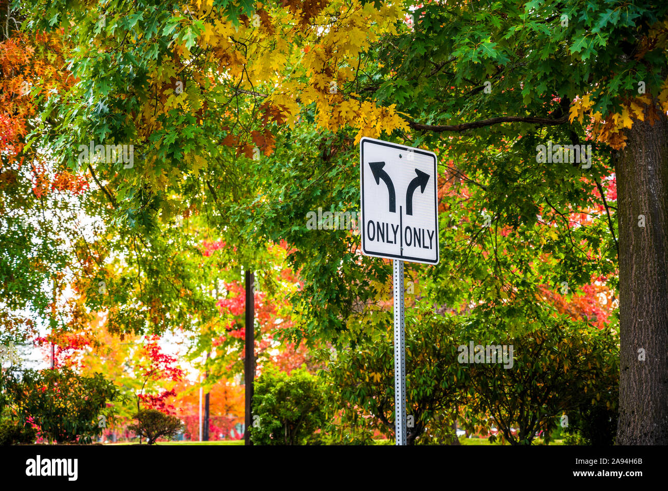 Information road sign indicating the mandatory direction of movement of ...