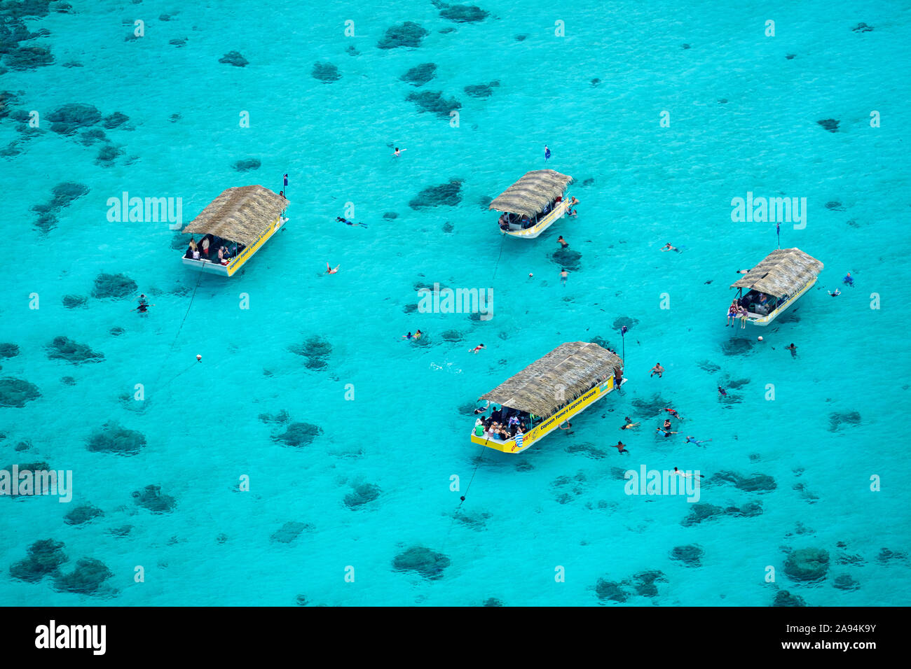 People snorkelling around Captain Tama's Lagoon Cruizes Boats, and reef ...