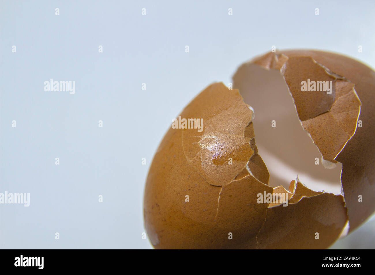 Close-up empty broken eggshell on the white background picture Stock ...