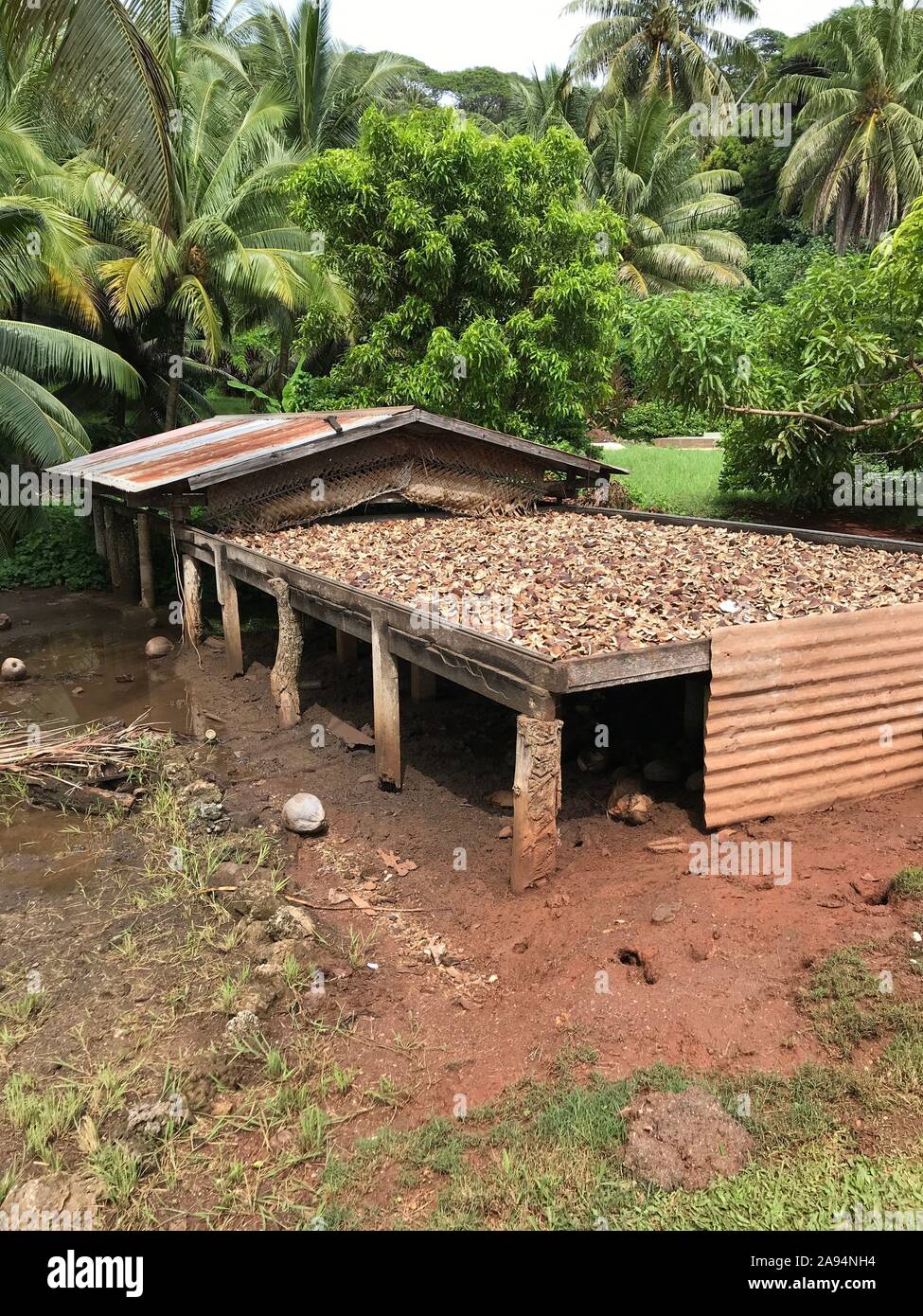 Meat structure hi-res stock photography and images - Alamy