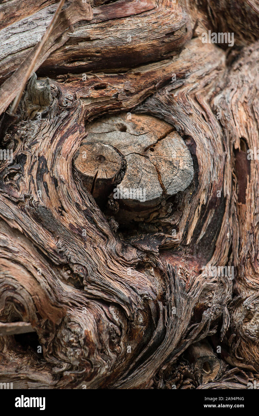 Soft wood lumber hi-res stock photography and images - Alamy