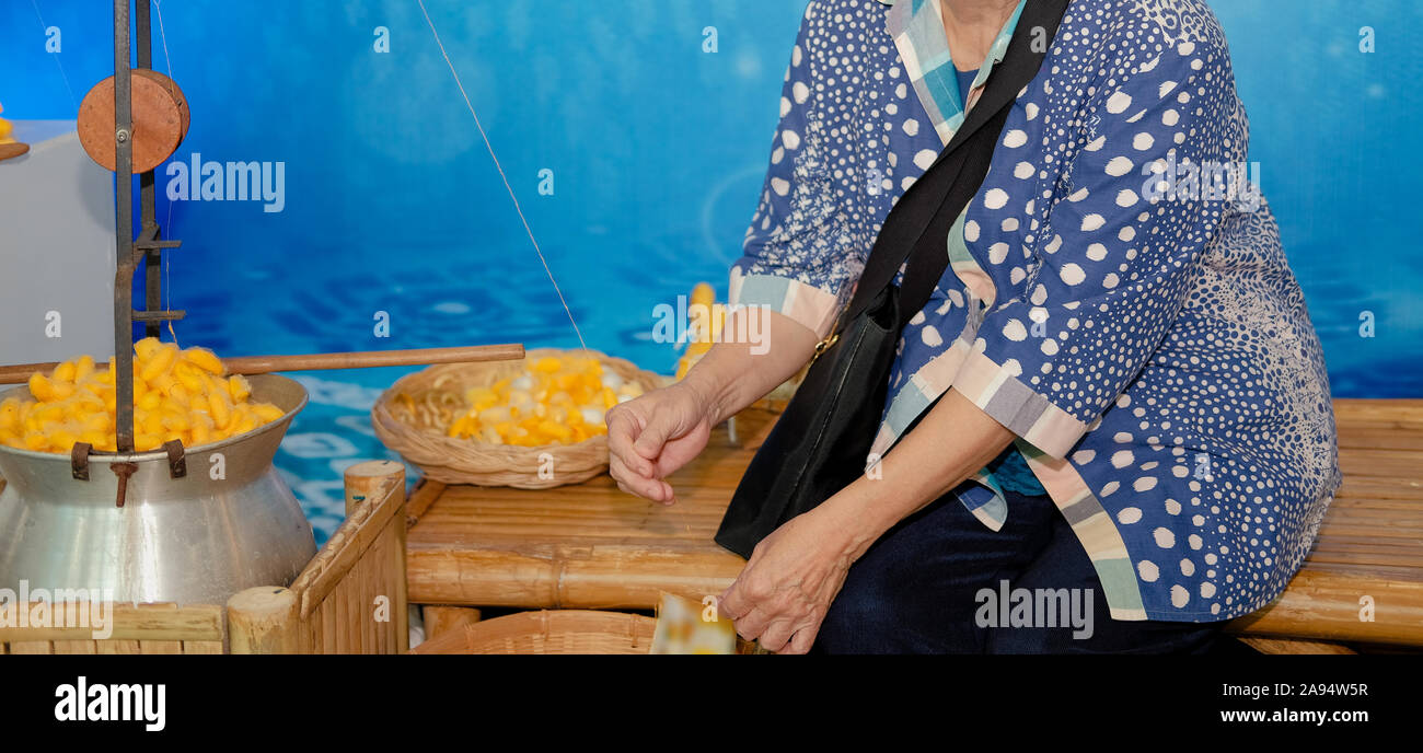 old woman & yellow silkworm cocoon shell for making thread producing ...