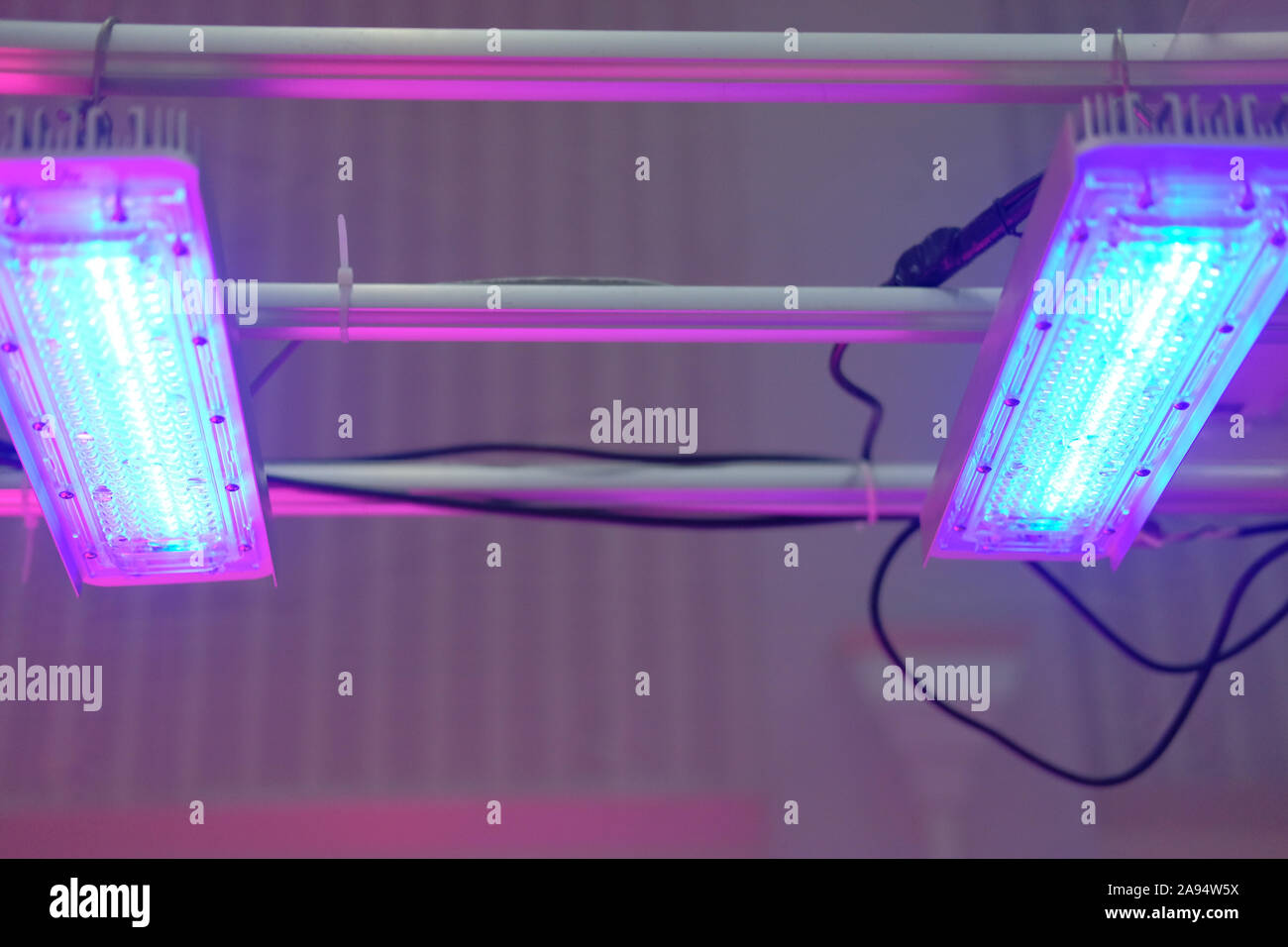 artificial led light for growing plant in smart indoor farm. spectrum ...