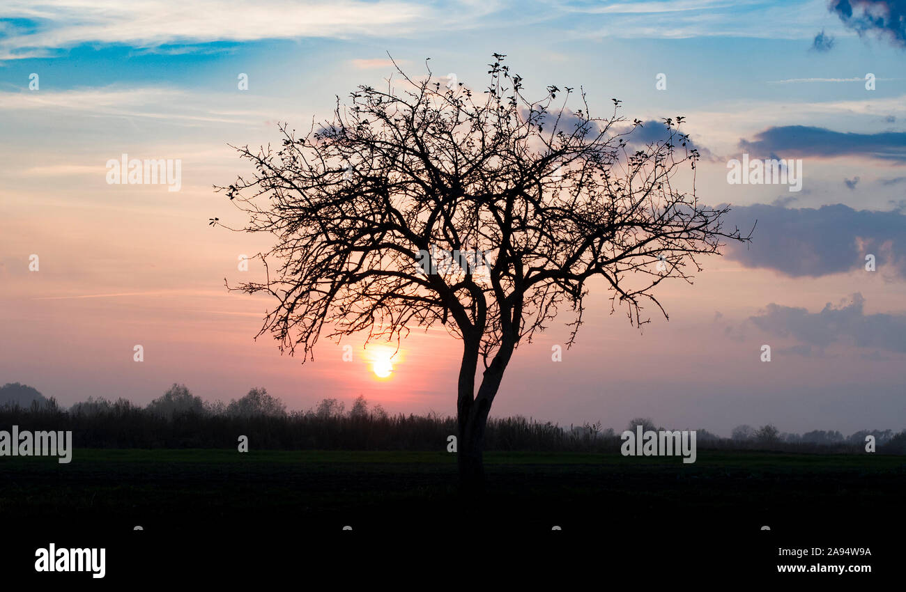 Silhouette landscape sunset hi-res stock photography and images - Alamy