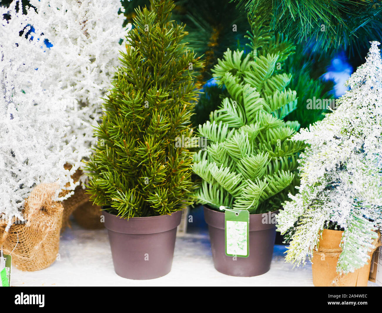 Replacing trees hi-res stock photography and images - Alamy