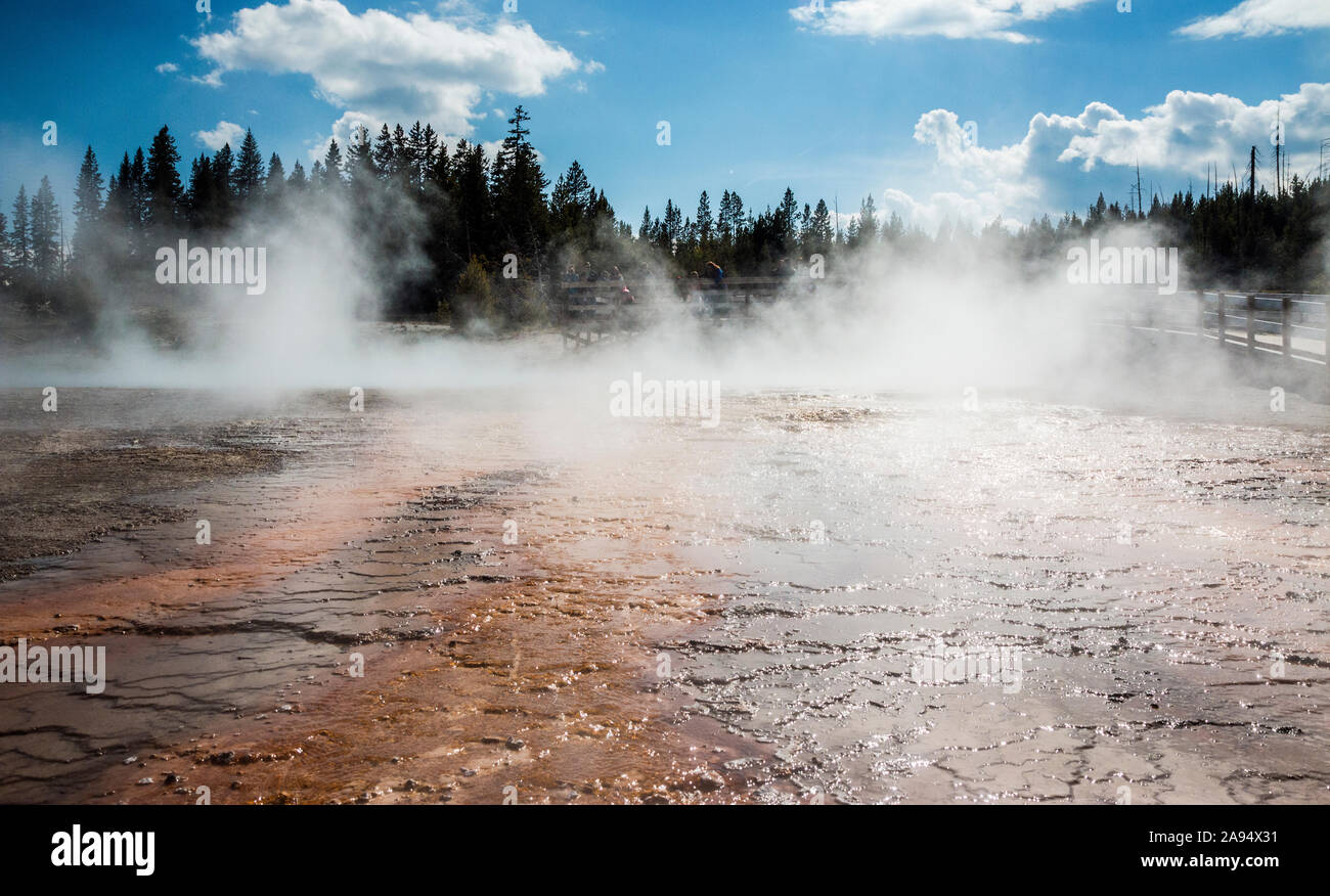 Landscape view of the beautiful and colorful hot springs in Yellowstone ...