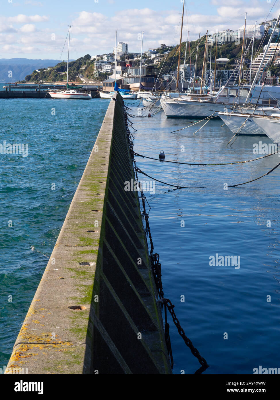 Sea Wall At Port Nicholson Yacht Club Wellington Stock Photo - Alamy