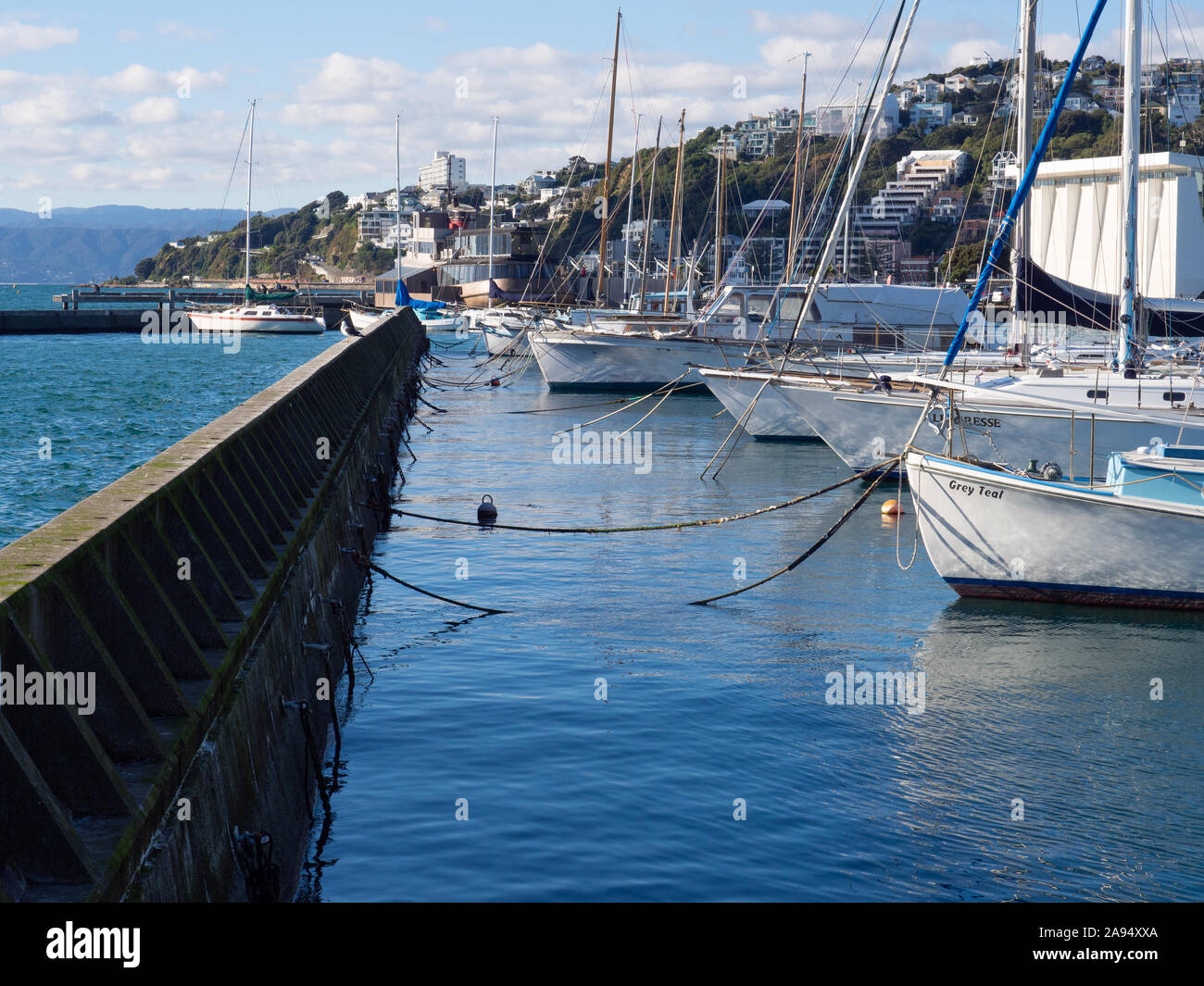 Sea Wall At Yachts At Port Nicholson Yacht Club Wellington Stock Photo ...