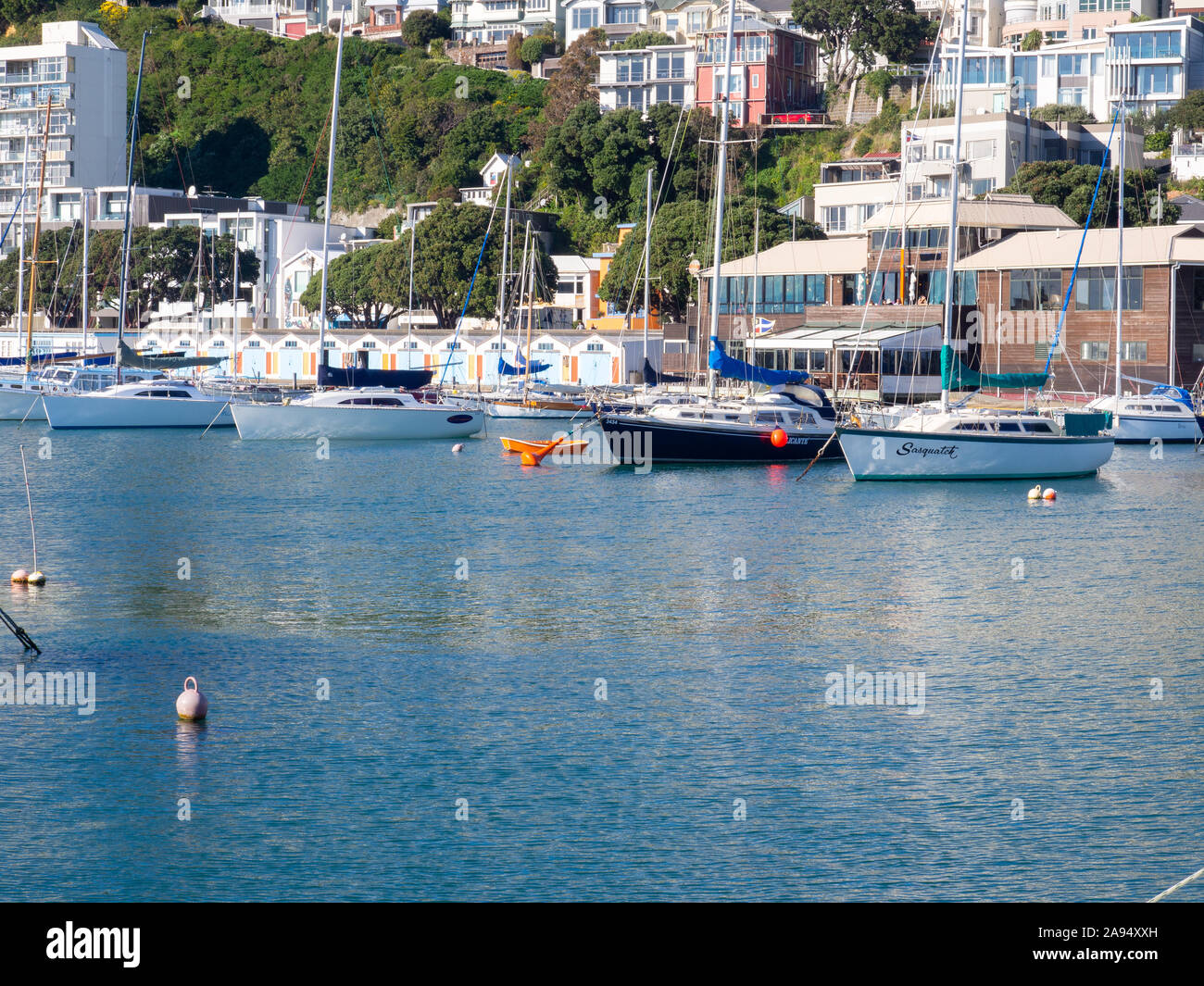Yachts At Port Nicholson Yacht Club Wellington Stock Photo - Alamy