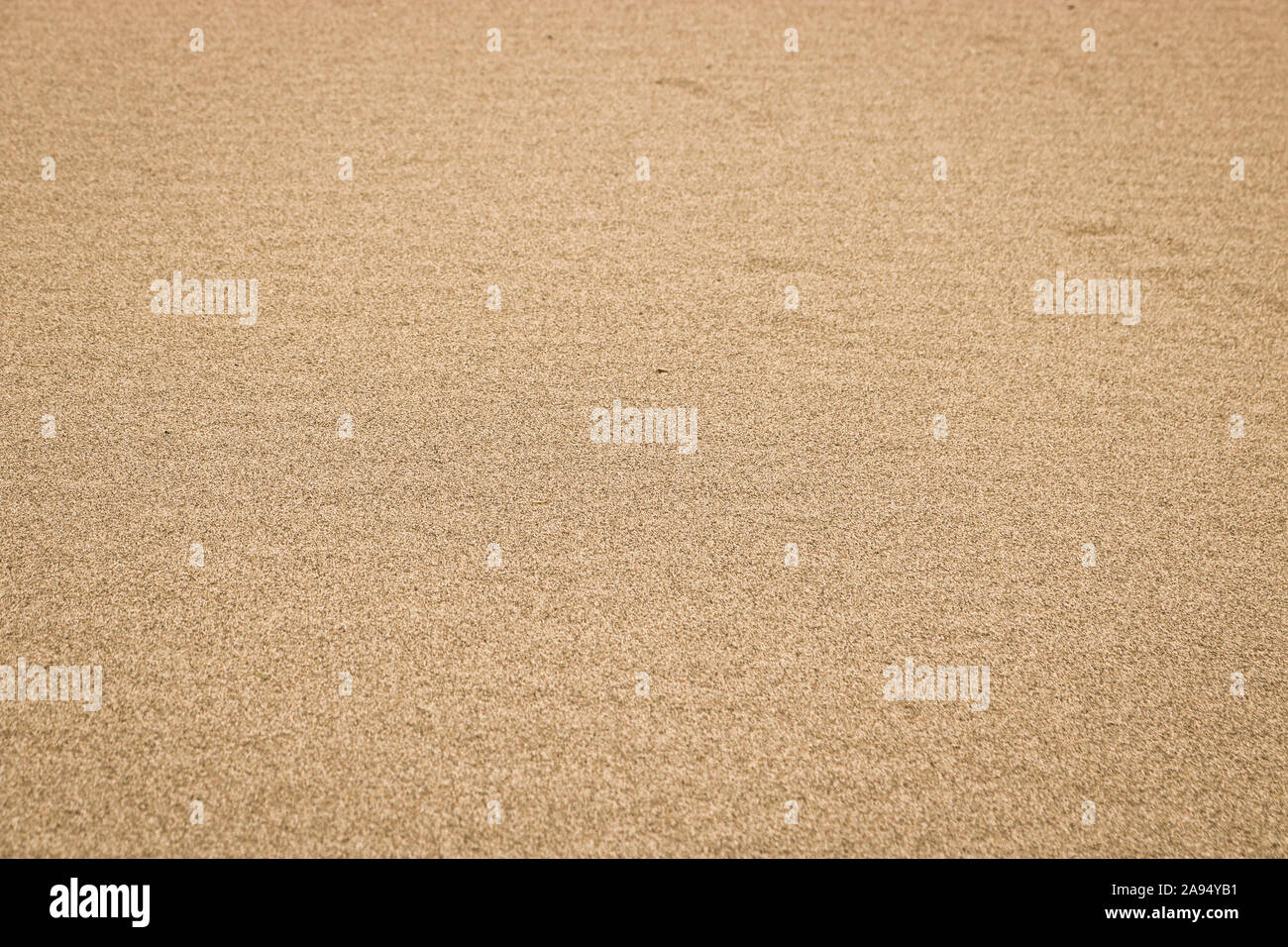 Texture of yellow sand. Natural background. Selective focus Stock Photo ...