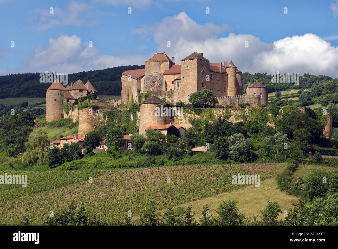 Berze Le Chatel, a medieval castle in the countryside of Burgundy ...