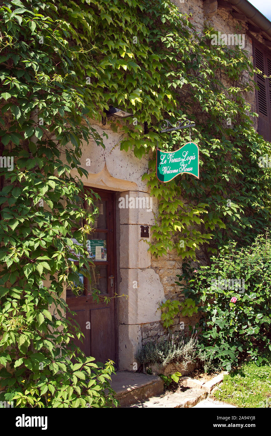 Ivy clad facade hi-res stock photography and images - Alamy