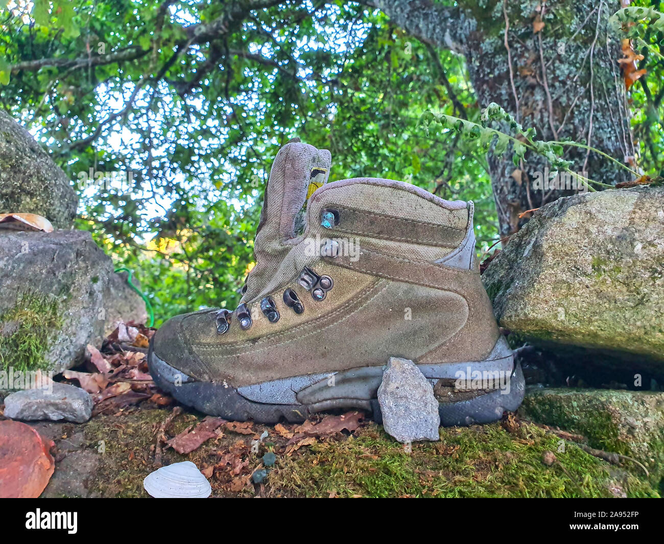 Well used garbage boot lost in the forest Stock Photo - Alamy