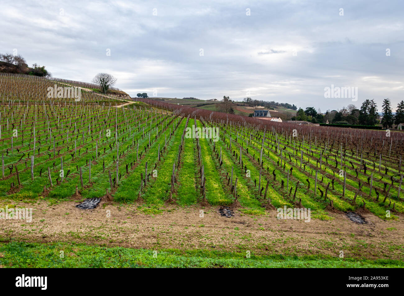St. Emilion in Aquitaine, France. Enchanting medieval village famous ...
