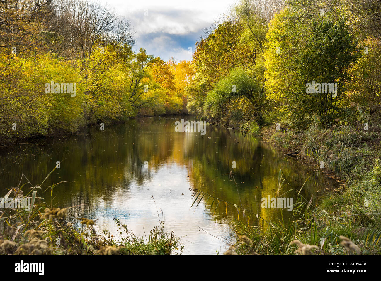 rhine wetlands at Taubergiessen in the ortenau area in germany Stock ...