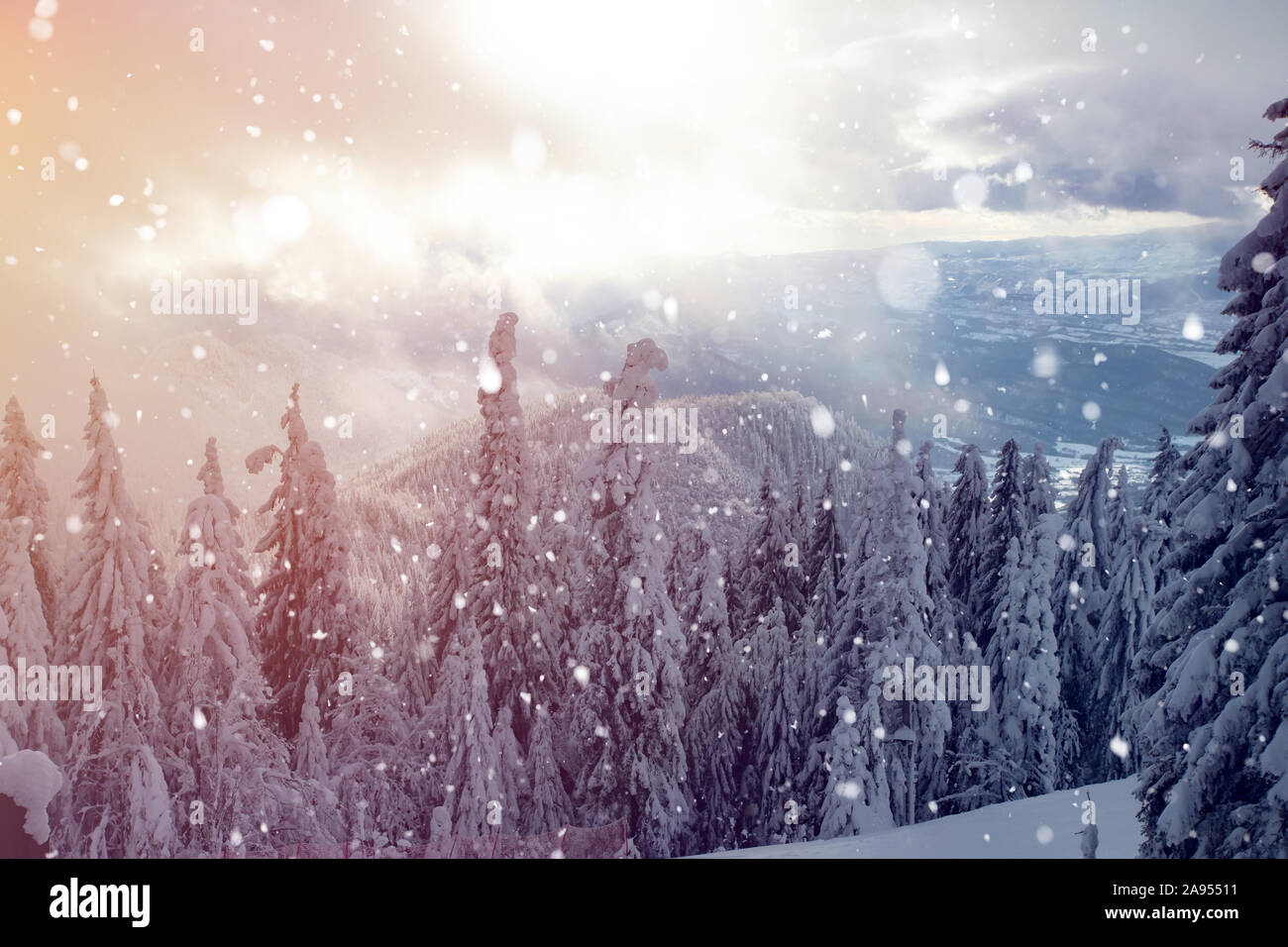 Magic Christmas concept with falling snow over beautiful winter ...