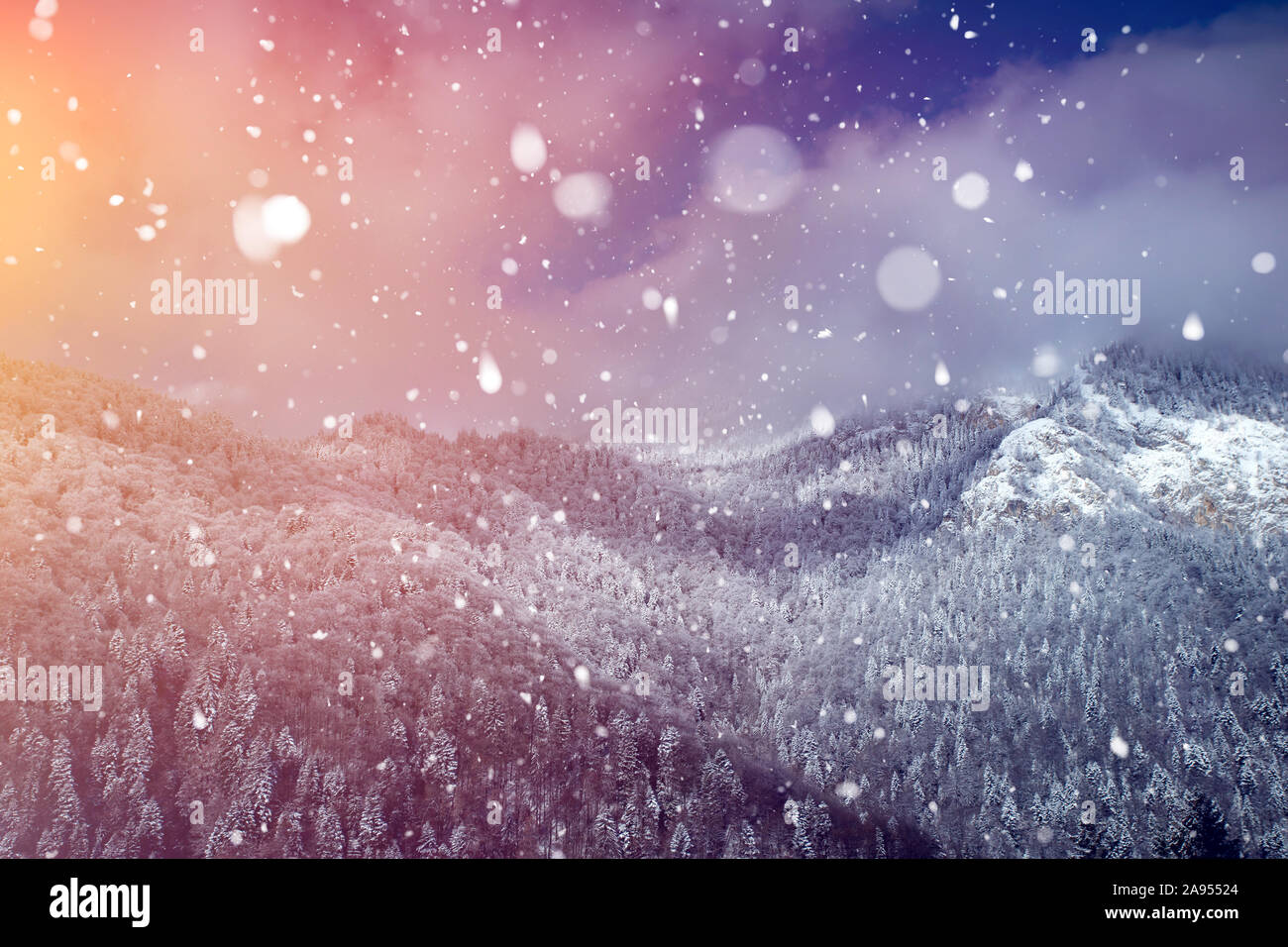Snow falling over tree in forest hi-res stock photography and images ...