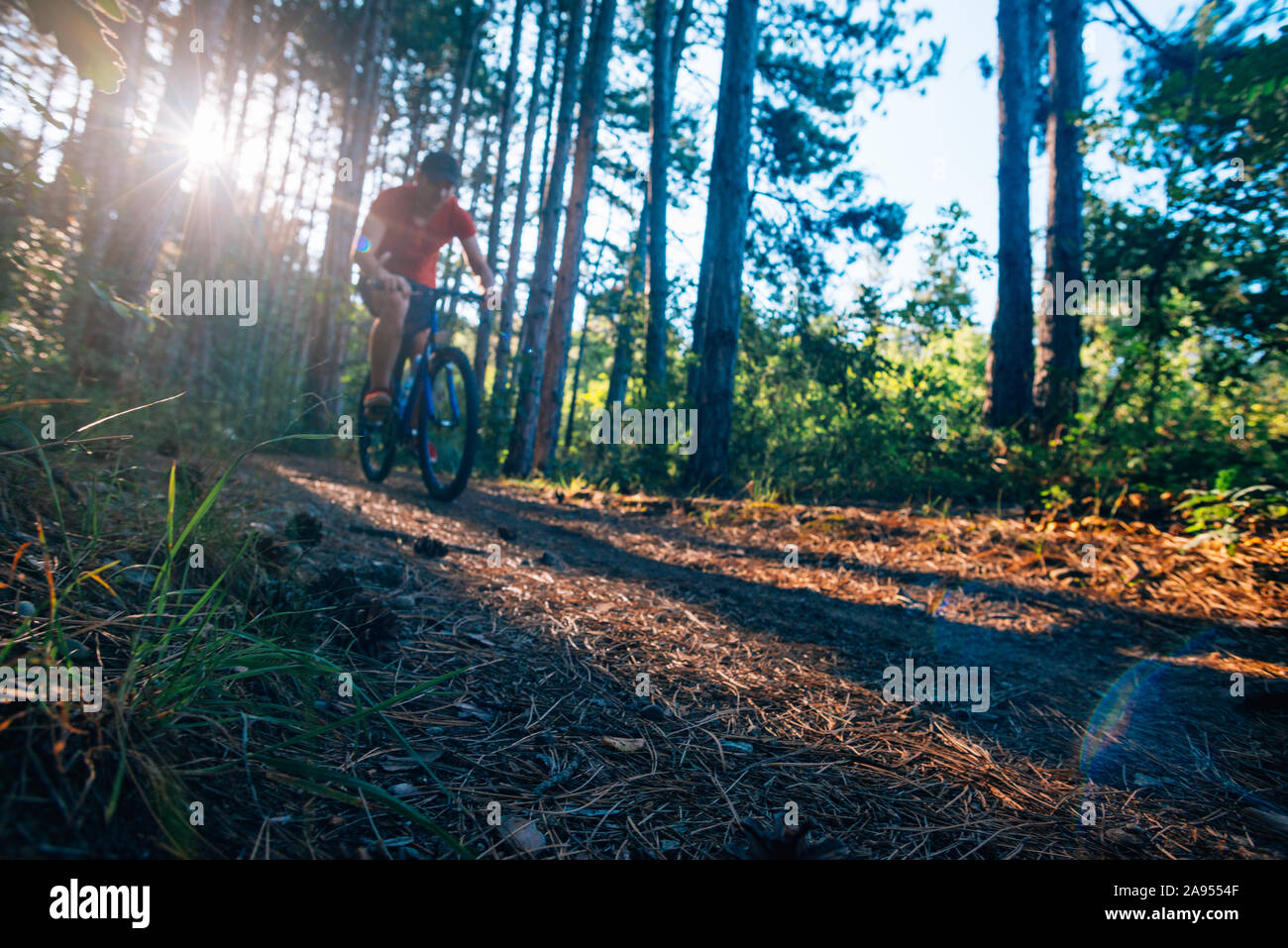 Extreme biker riding his bicycle downhill while wearing no safety ...
