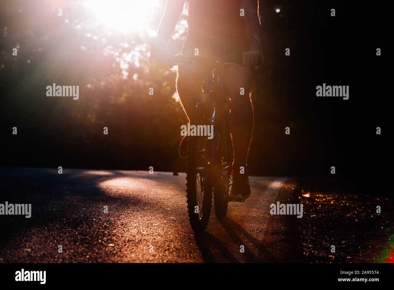 Male cyclist riding his bike on sunset on a road through deep woods ...