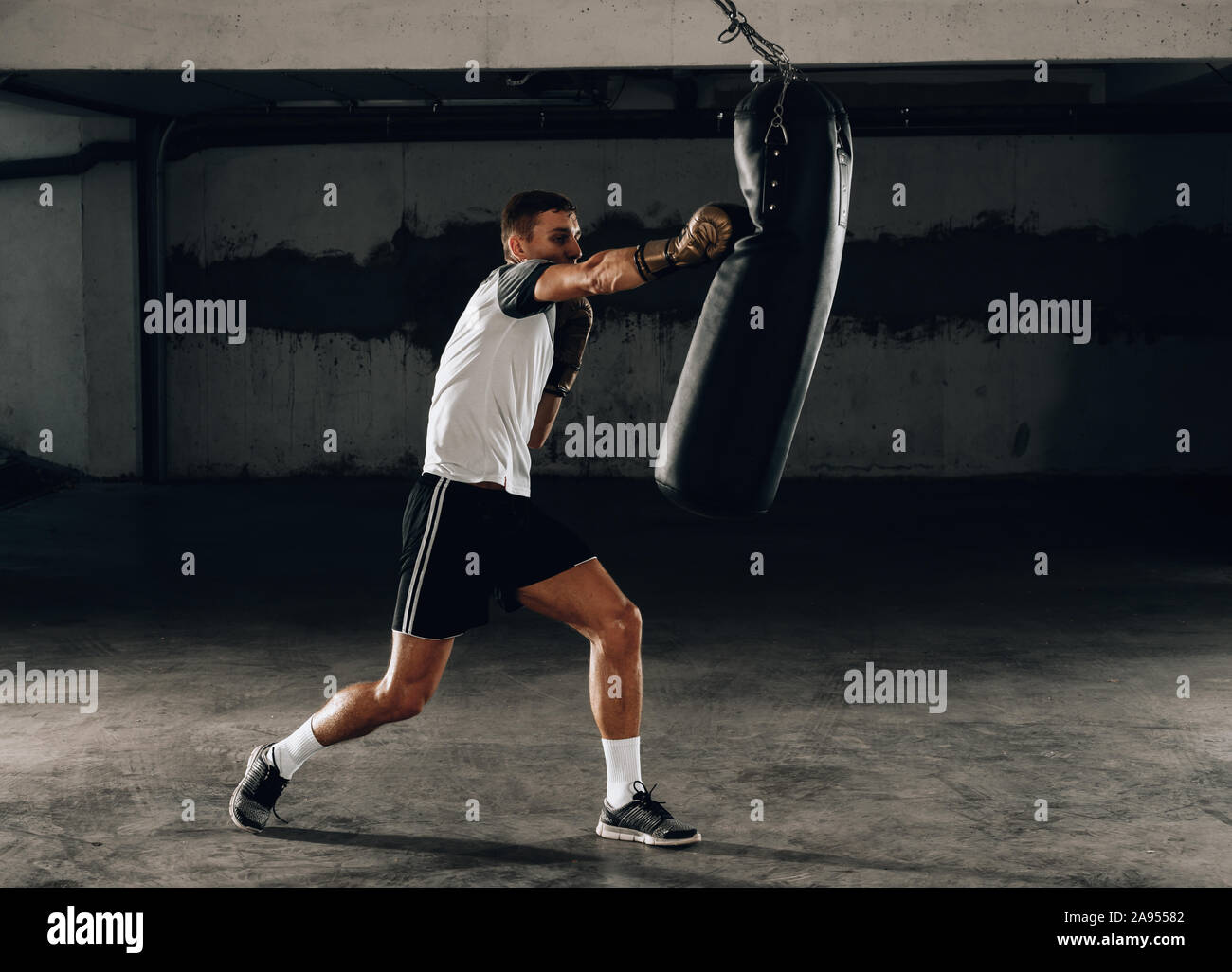 Adult boxer in boxing gloves training with boxing punching bag in a gym ...