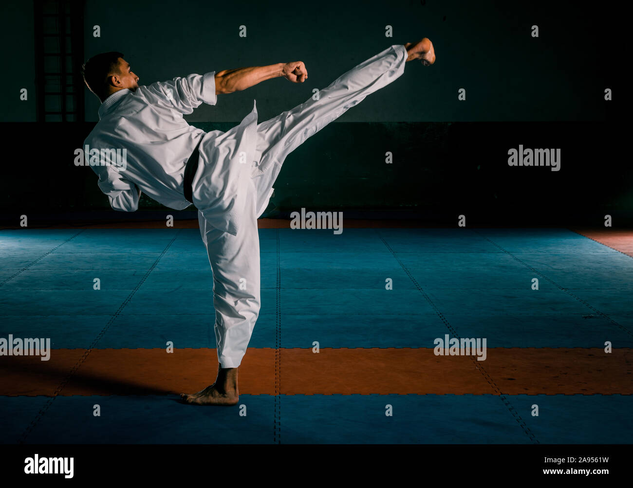 An athlete with a black belt and in karategi performs a formal karate ...