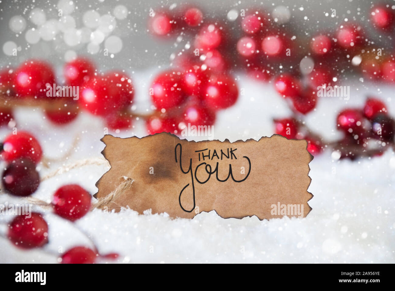 Snowflakes Thankful Holiday Snowy High Resolution Stock Photography and ...