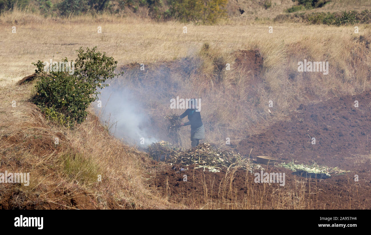 Madagascar on july 26, 2019 - Smoking out rodents, protecting the local ...
