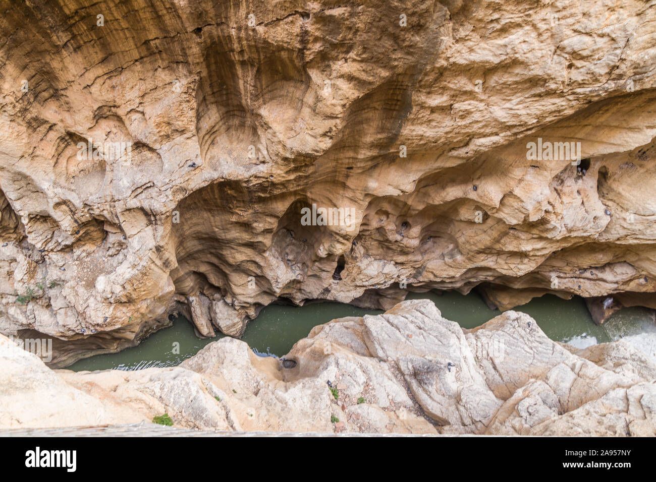 River at the bottom of deep and narrow canyon Stock Photo - Alamy