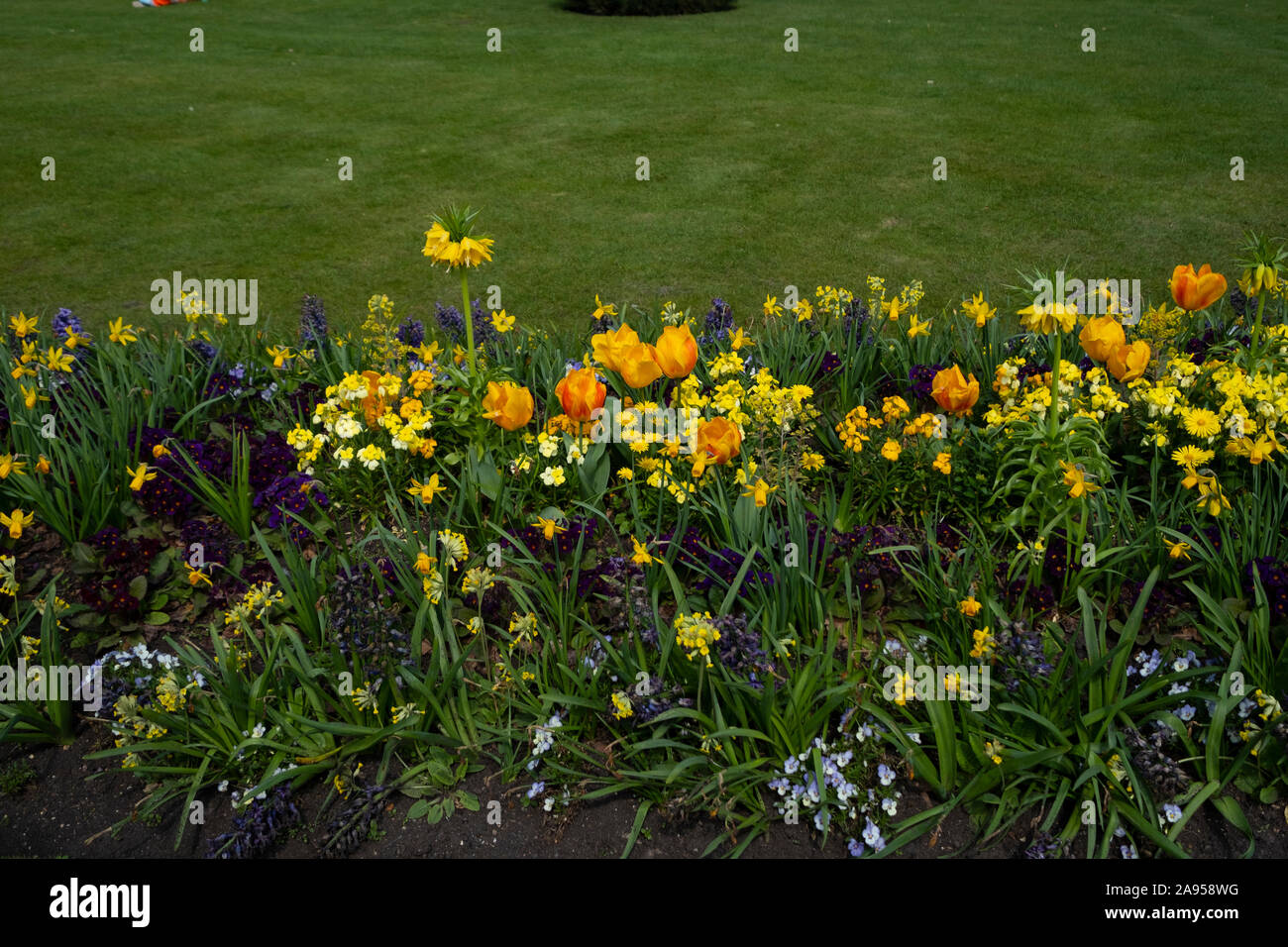 Colour burst hi-res stock photography and images - Alamy