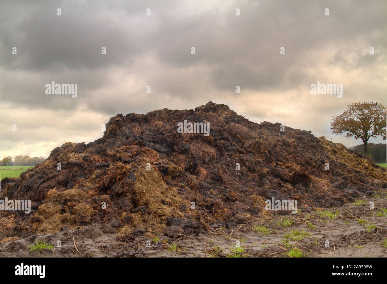 Organic farming: heap of manure mixed with straw on a field Stock Photo ...