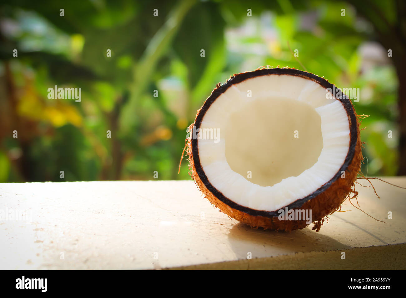 Nice coconut with a beautiful blur background in out door light Stock ...