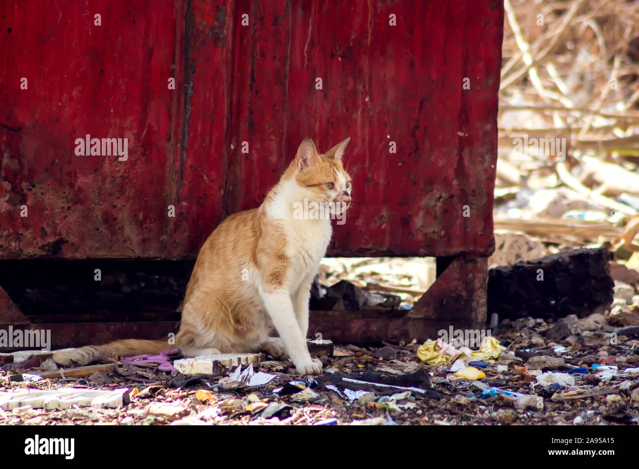 Poor white trash hi-res stock photography and images - Alamy