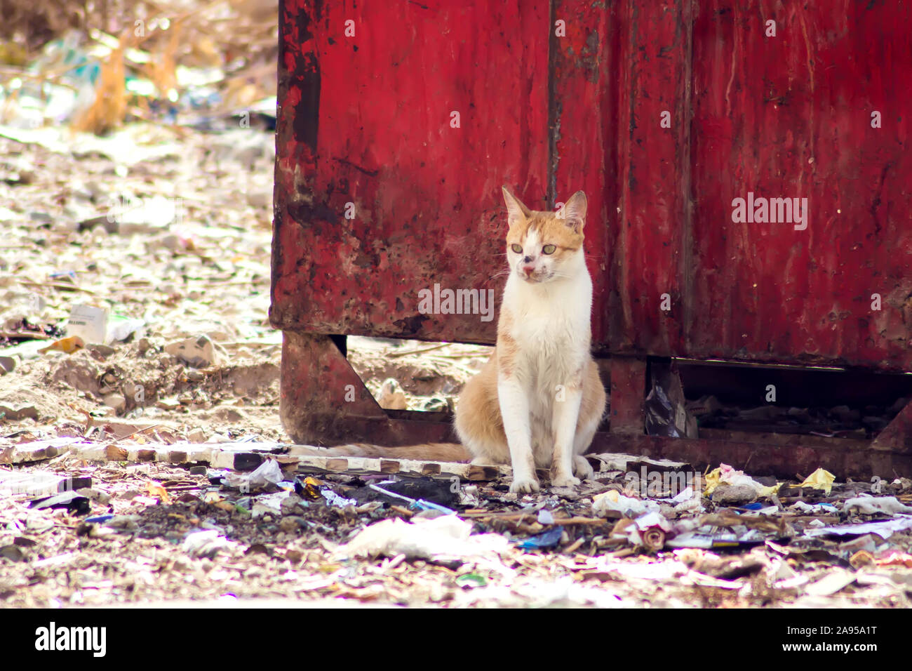Poor white trash hi-res stock photography and images - Alamy
