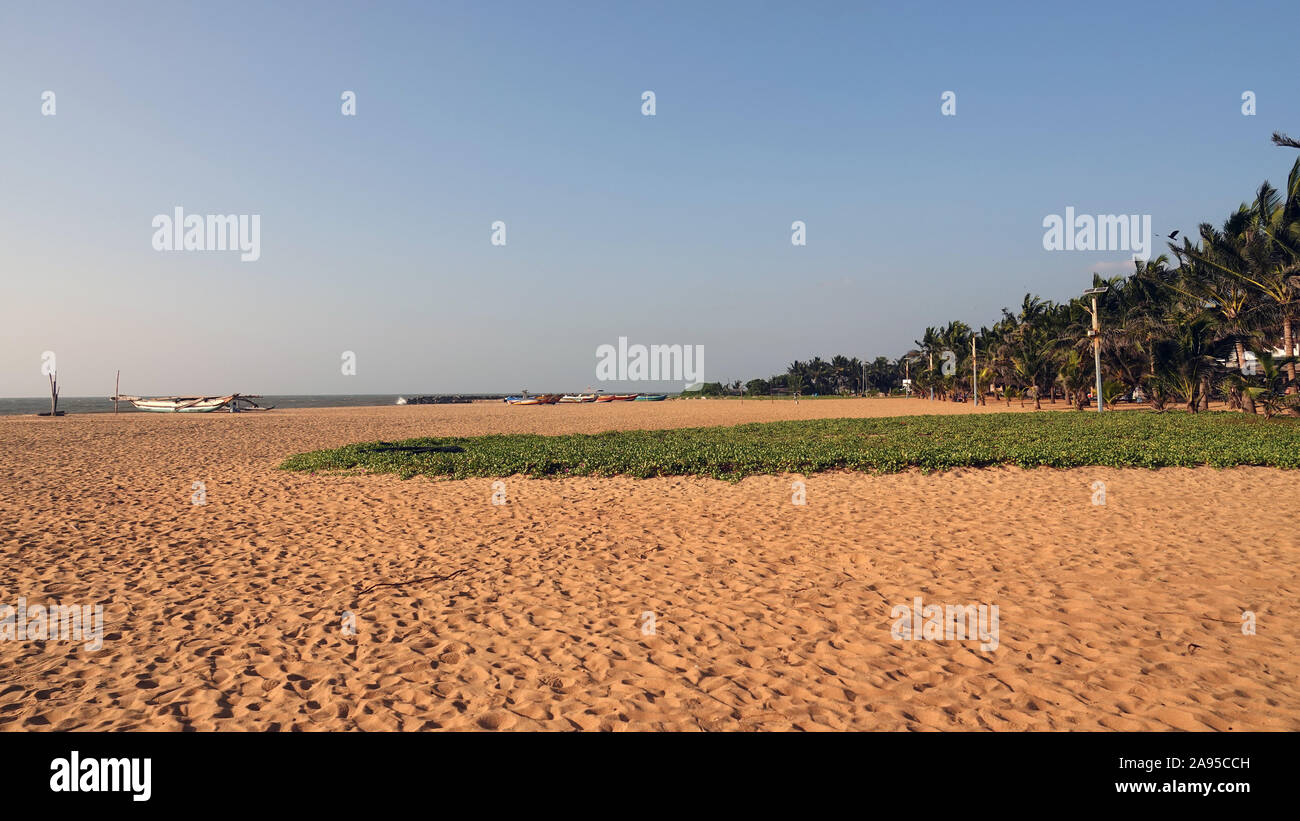 Beach, Negombo, Western Province, Sri Lanka Stock Photo - Alamy
