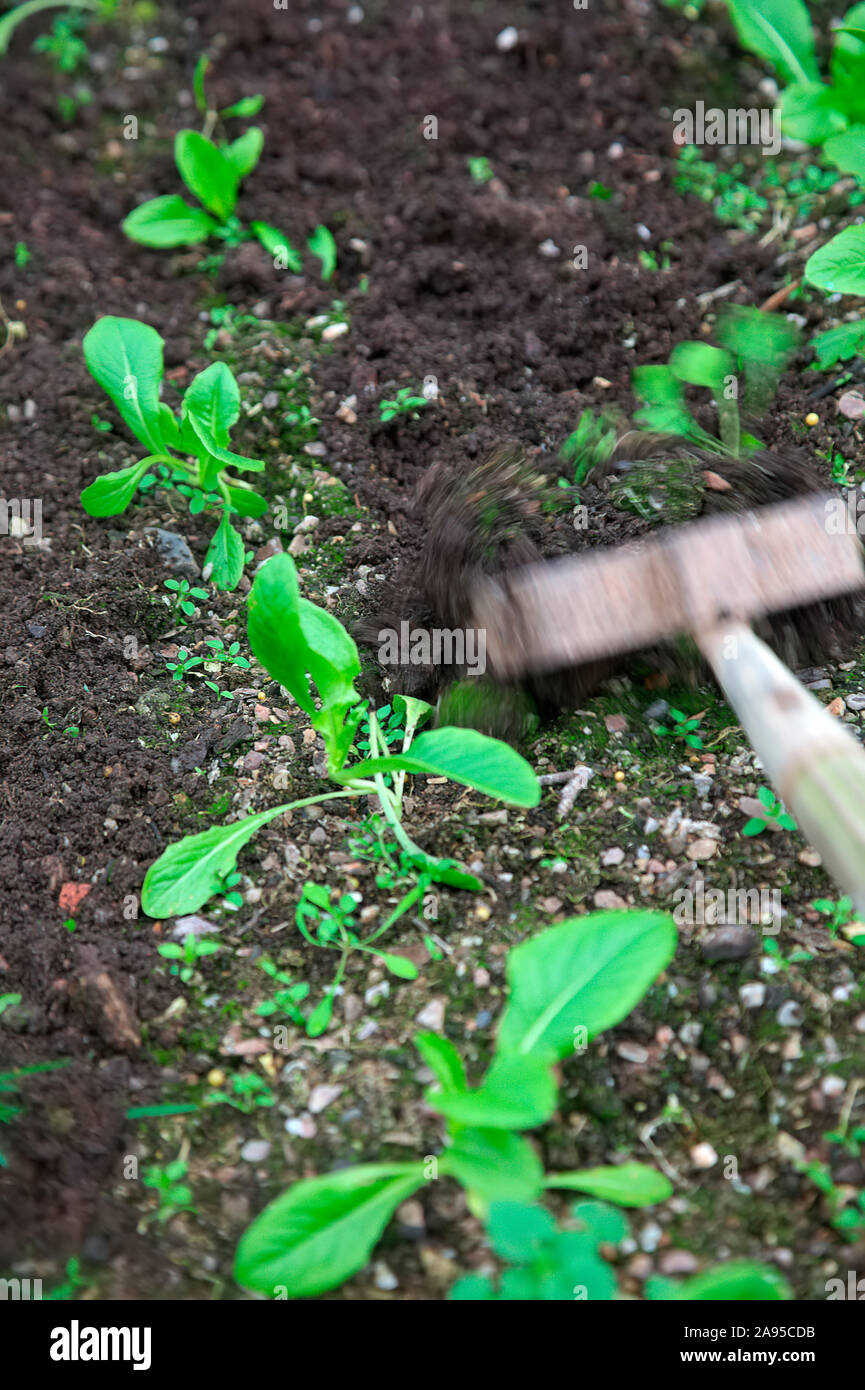 Crop density hi-res stock photography and images - Alamy