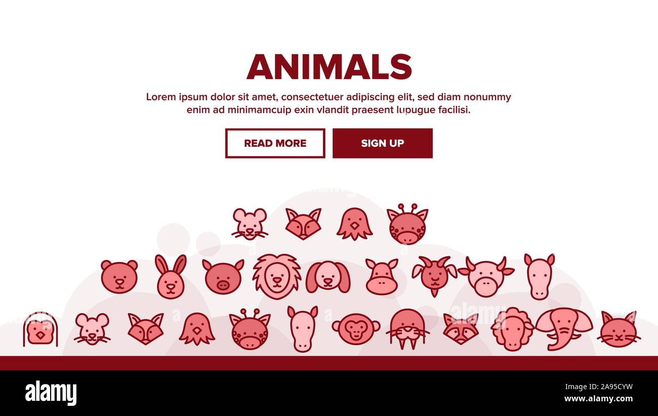 Animals Landing Header Vector Stock Vector Image & Art - Alamy