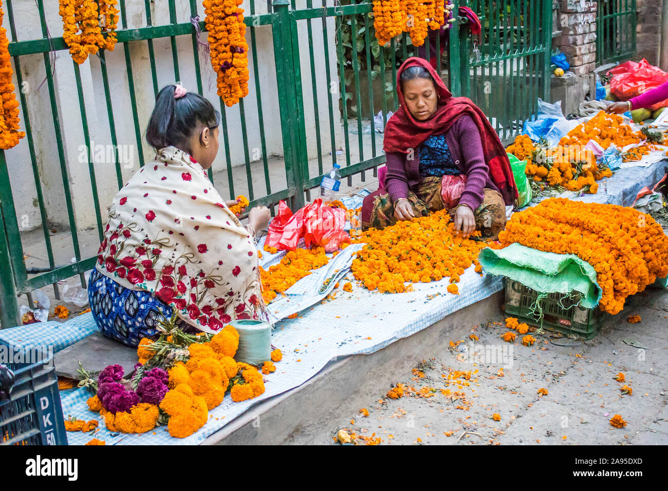 Marigold sayapatri garlands nepal hi-res stock photography and images ...