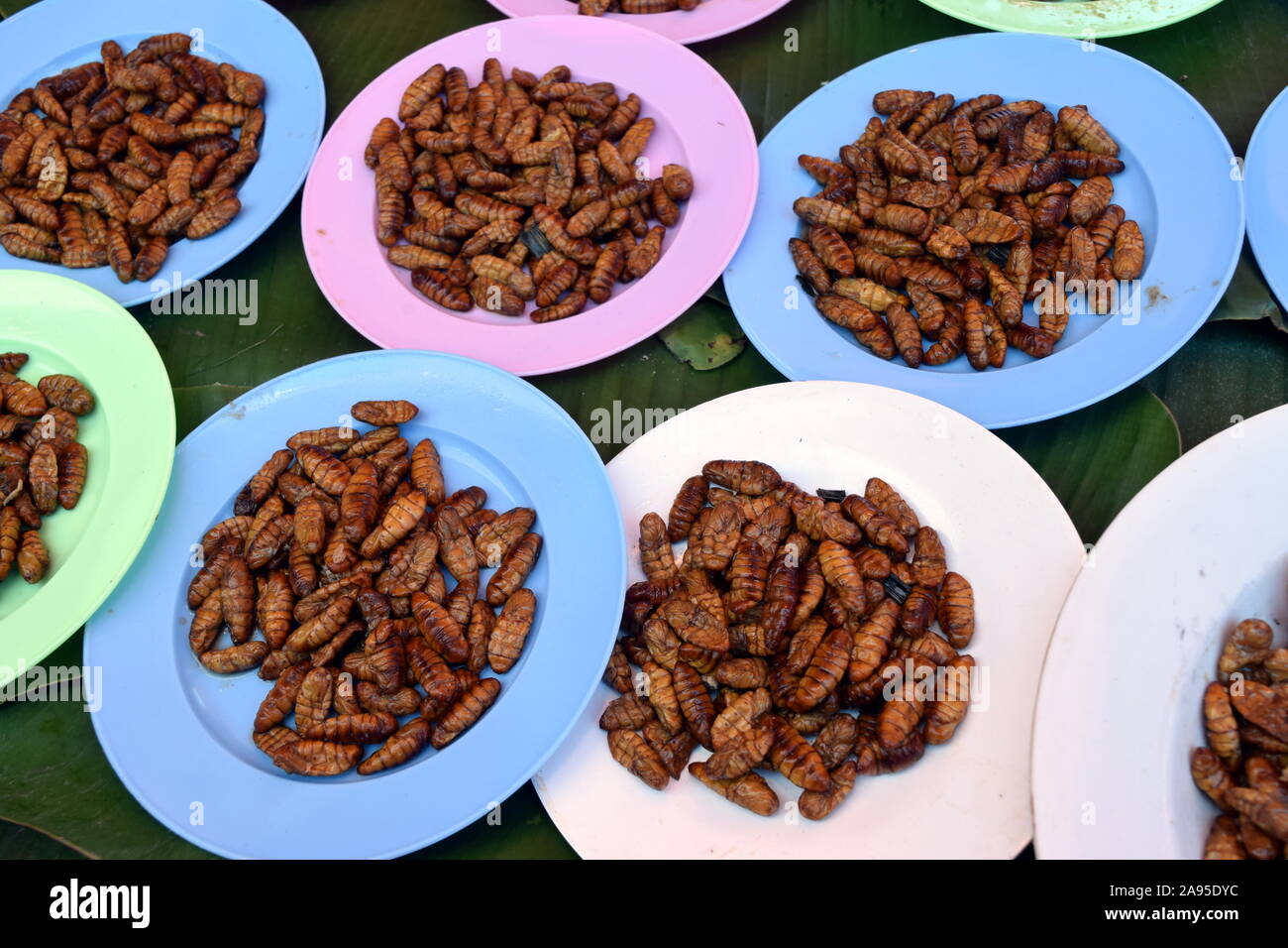 Roasted larvae served on colorful plates, Vientiane, Laos Stock Photo ...