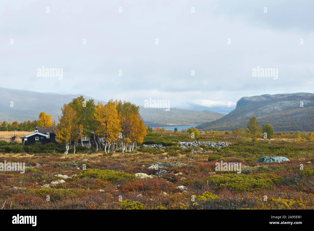 Tundral landscape hi-res stock photography and images - Alamy
