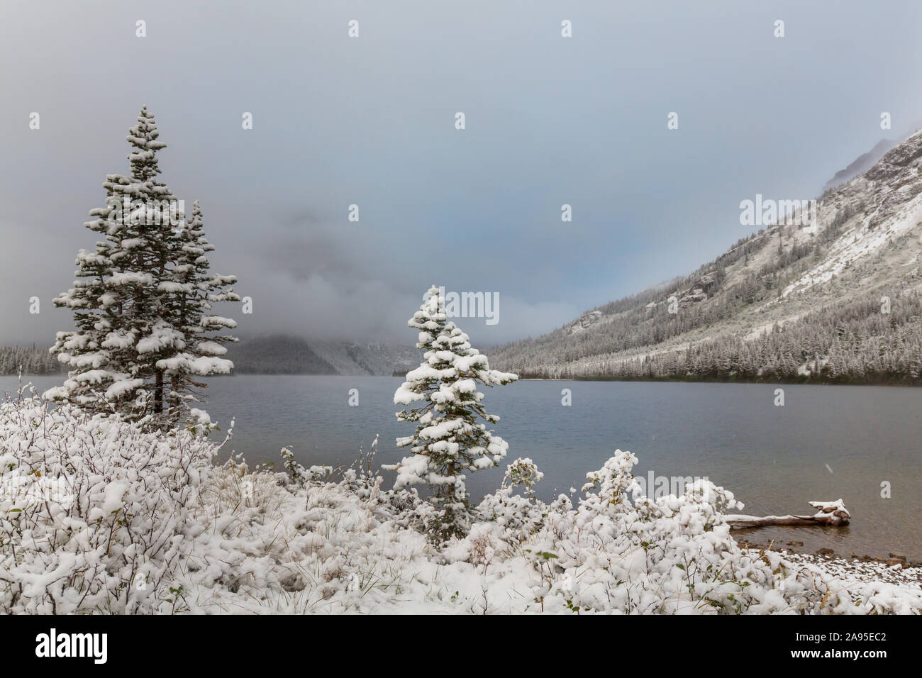 Early winter with first snow covering rocks and woods in the Glacier ...