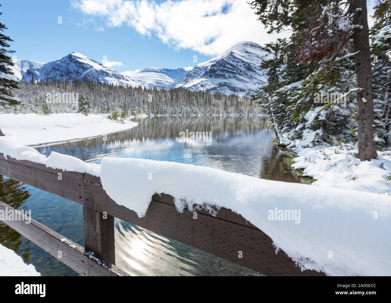 Early winter with first snow covering rocks and woods in the Glacier ...