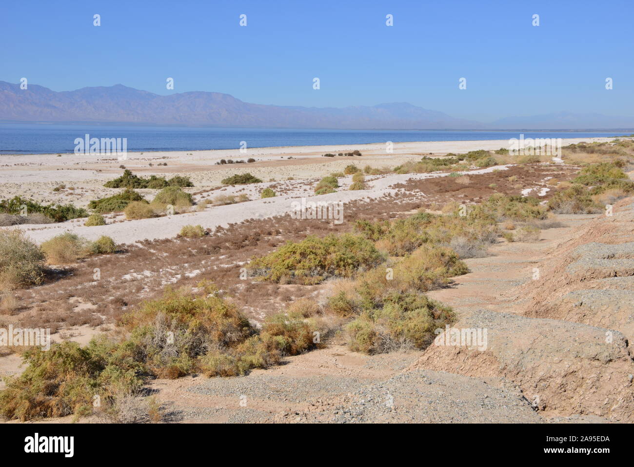 The beach area a the Salton sea in California Stock Photo - Alamy