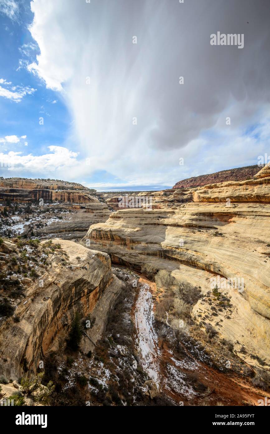 Bick into Deer Canyon near Sipapu Bridge, Natural Bridges National ...