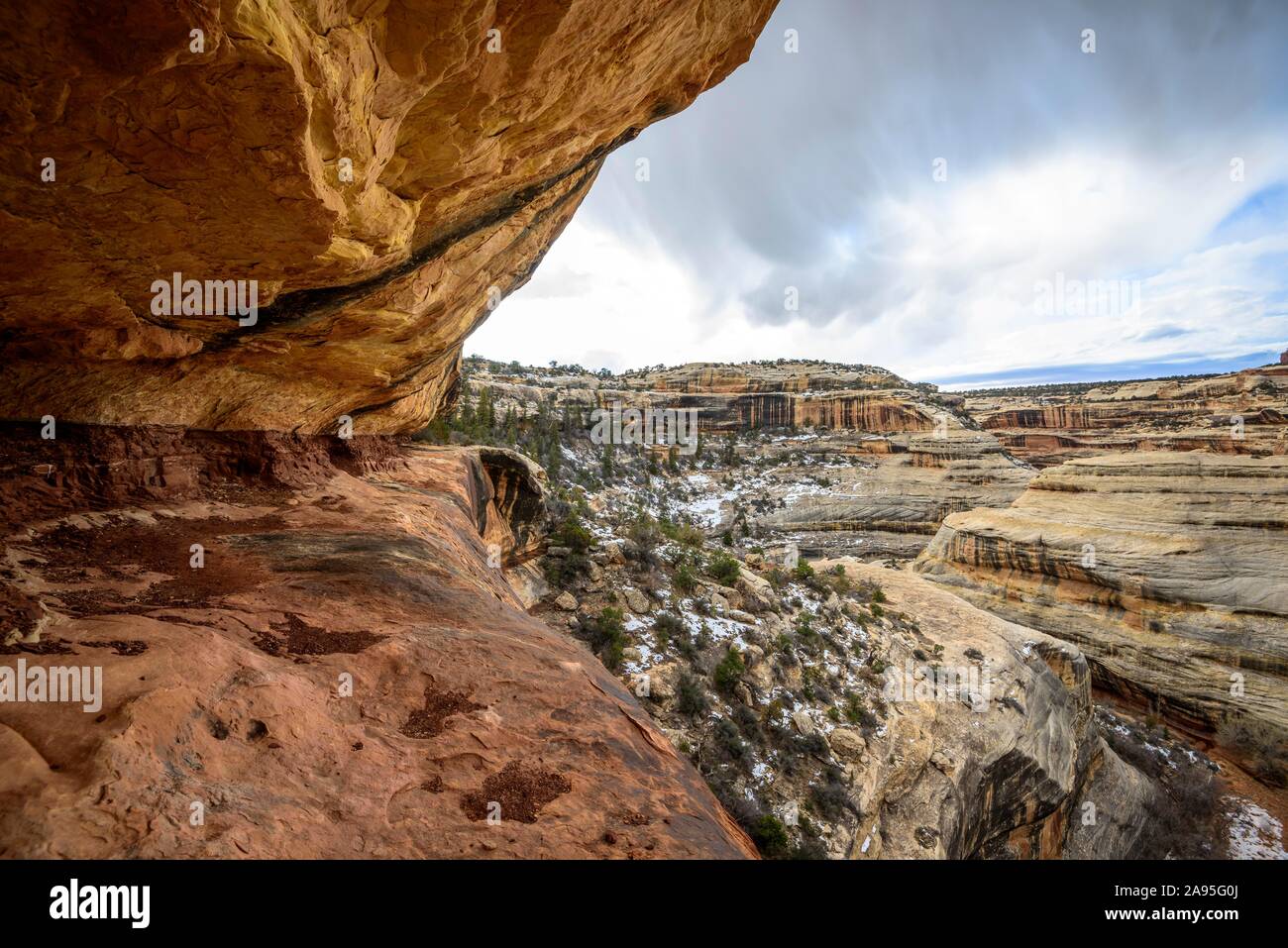 Bick into Deer Canyon near Sipapu Bridge, Natural Bridges National ...
