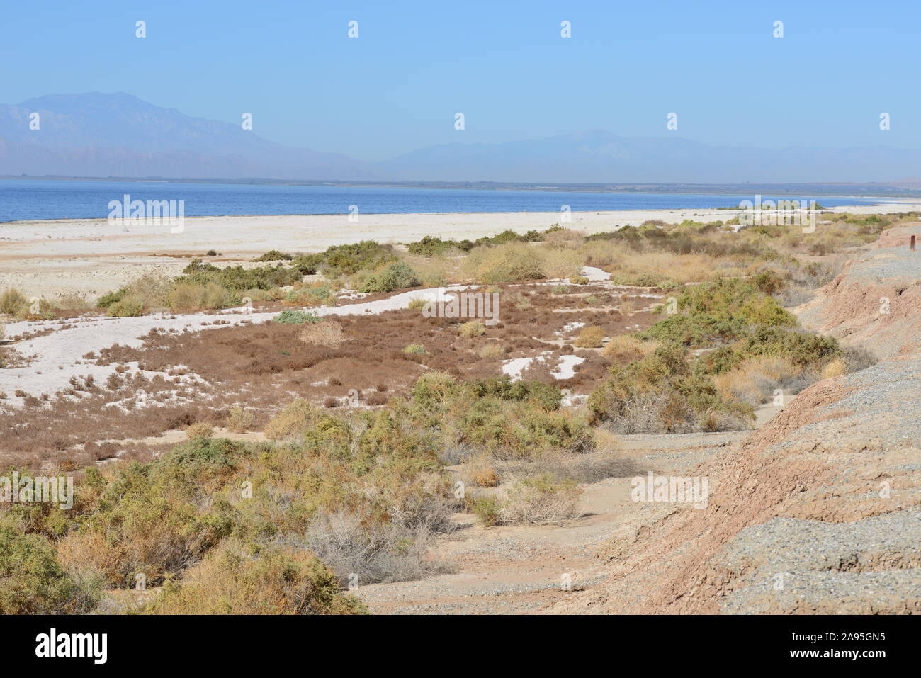 The beach area a the Salton sea in California Stock Photo - Alamy
