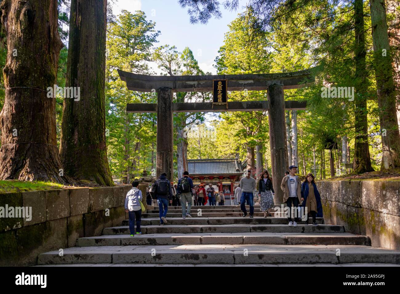 Torii Gate, Shrines and Temples of Nikko, UNESCO World Heritage Site ...