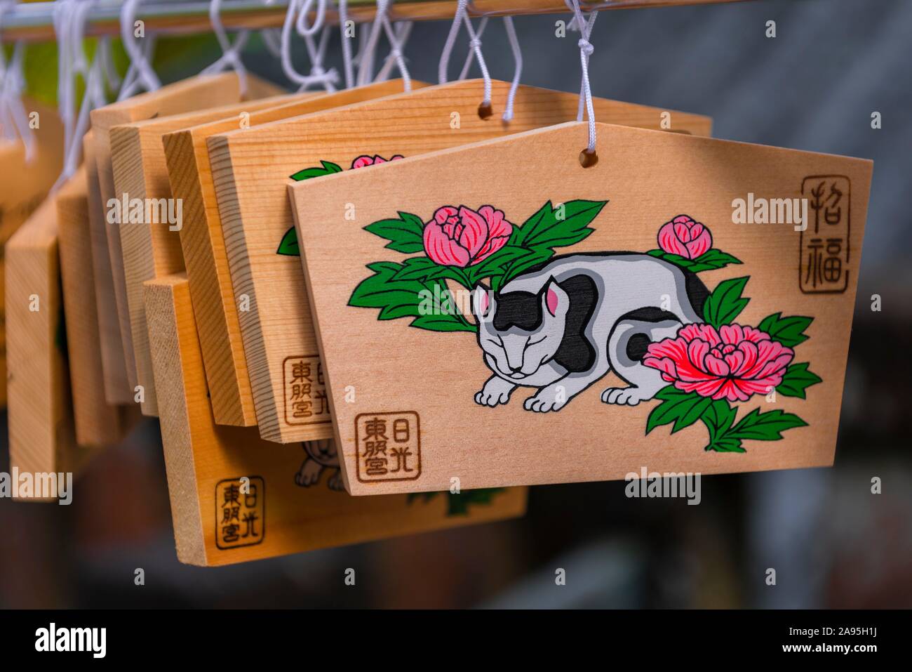 Painted cat on small wooden boards, wish boards, Ema, Shinto shrine ...