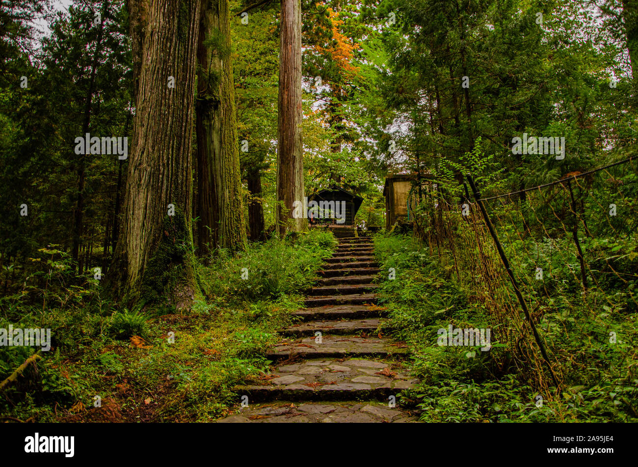 Japanese wooden stairs hi-res stock photography and images - Alamy