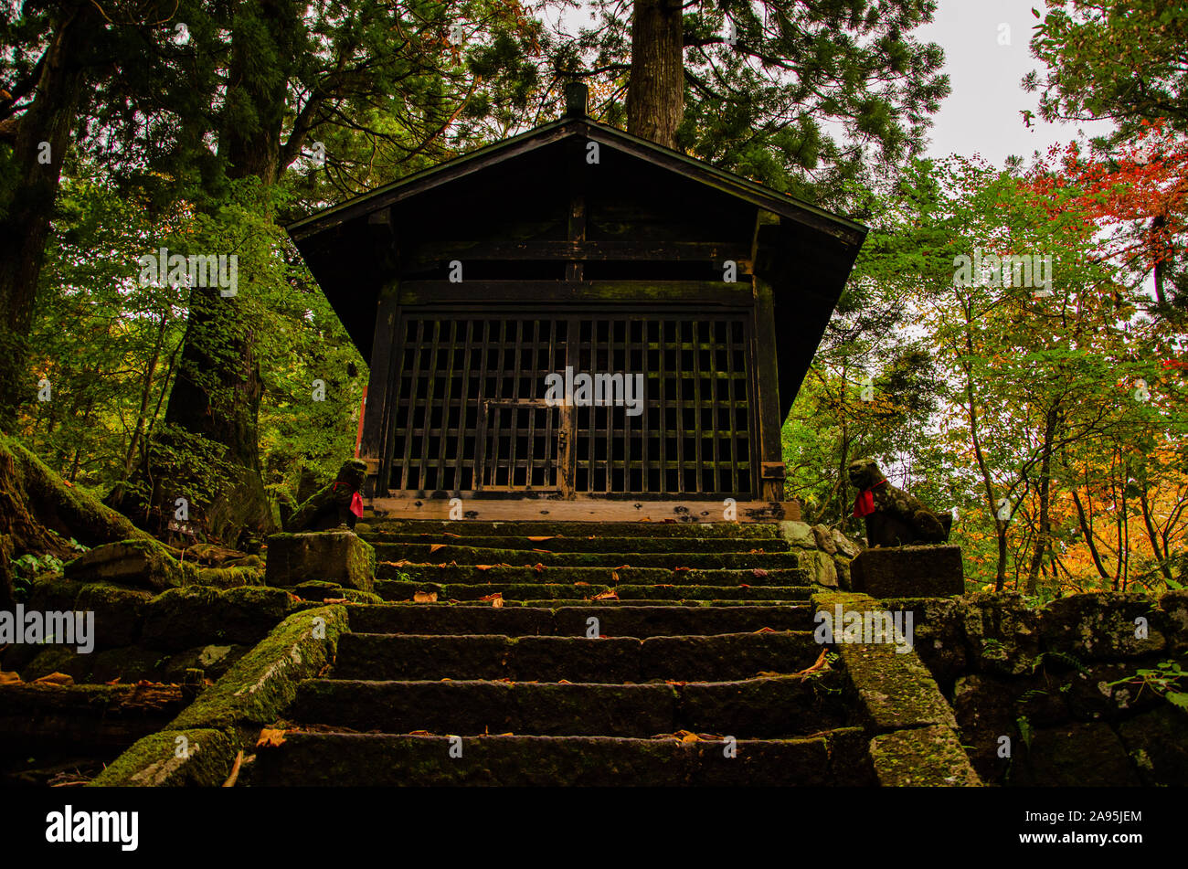 Lion statue in Nikko shrine, Japan Stock Photo - Alamy