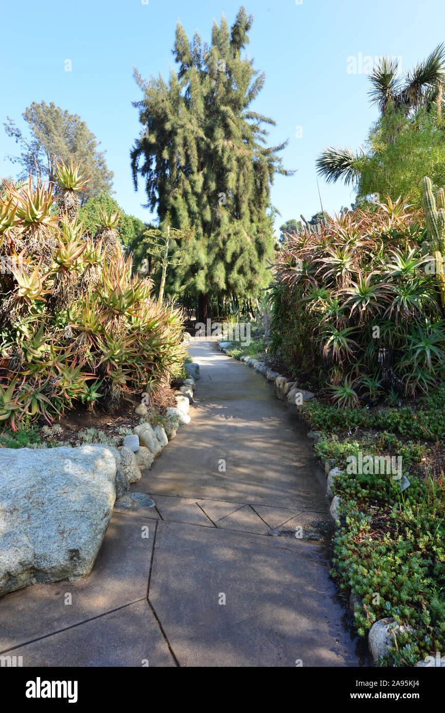 A desert Cactus garden in California Stock Photo - Alamy